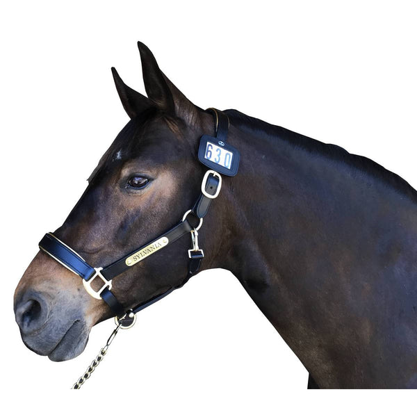 Hamag Halter Number Holder