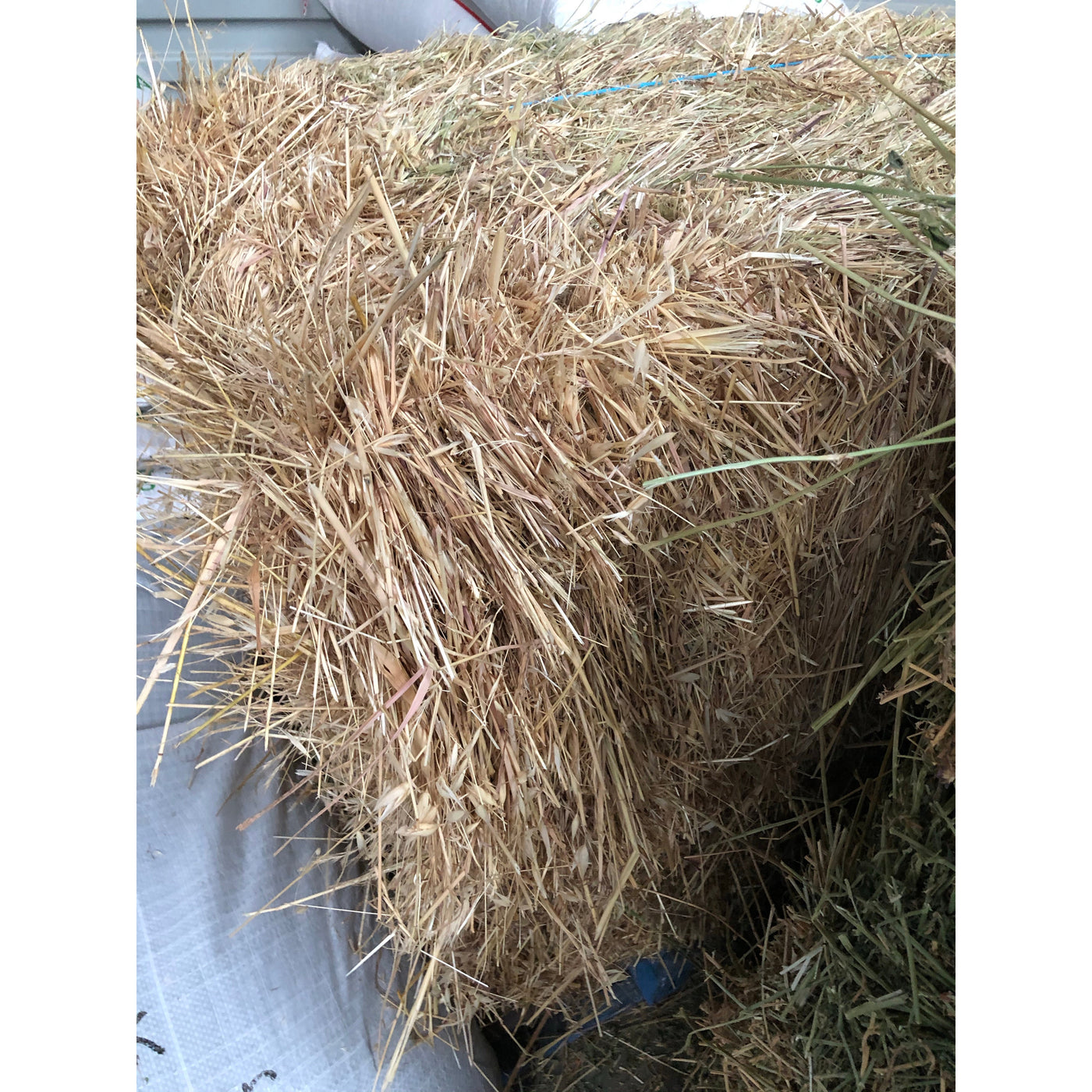 SSH Showjumping Equipment | Rails, Poles, Keyhole Tracking, Wings, Cups