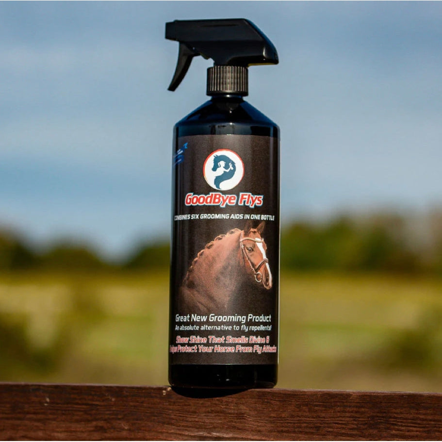 Leader Equine