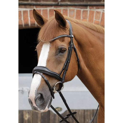 Premier Equine Stellazio Anatomic Bridle with Flash